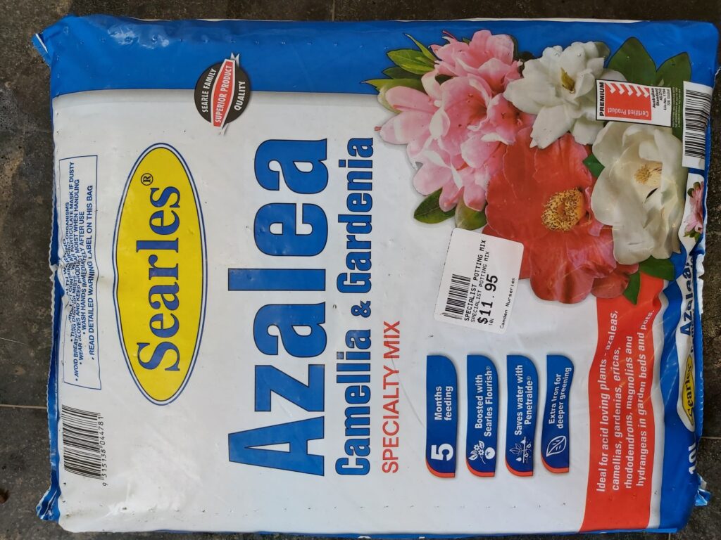 Azalea, camellia & gardenia mix 10L | Camden Nurseries